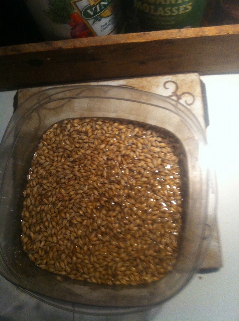 Toasting Grain at Home | The Ripley Blog